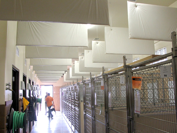 Project Gallery of Installations and Jobs from Acoustics First ...